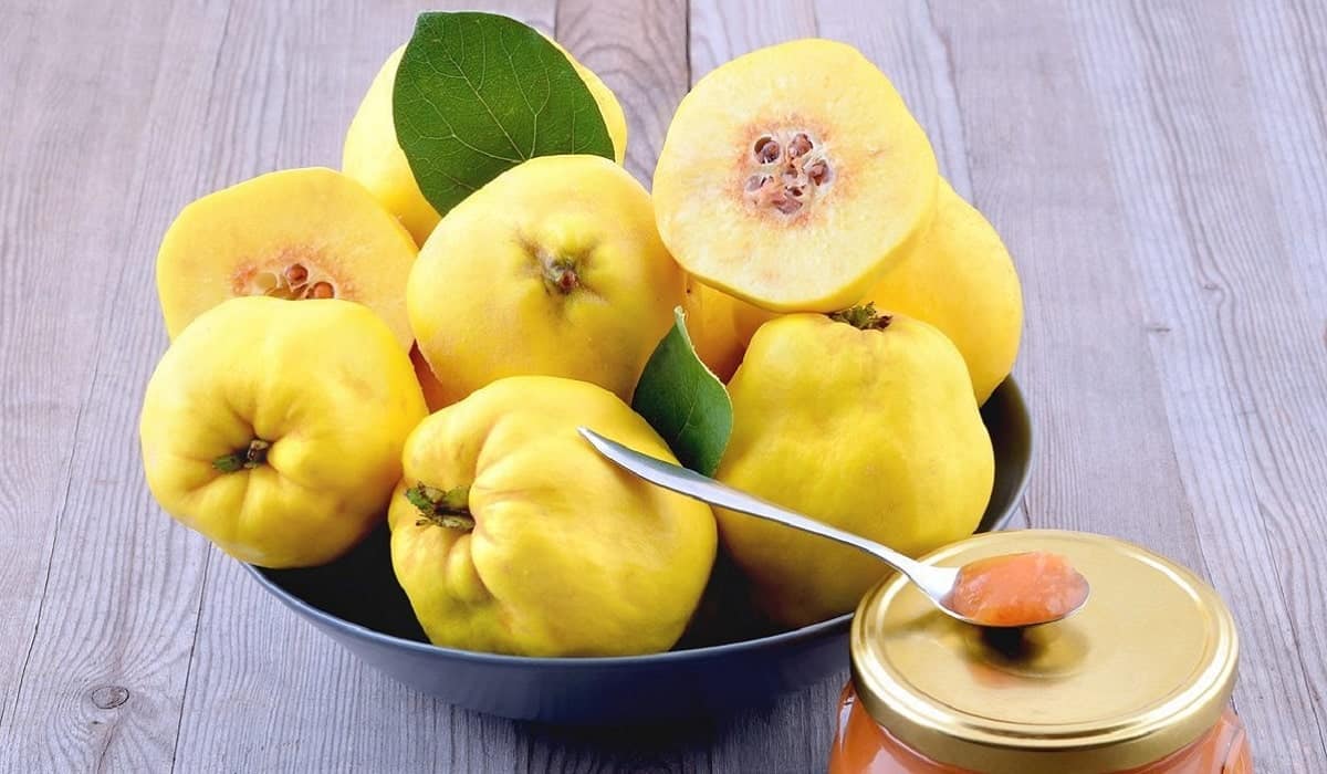 Ayvada Bulunan Vitamin ve Besinler Nelerdir? » Fit ve Form